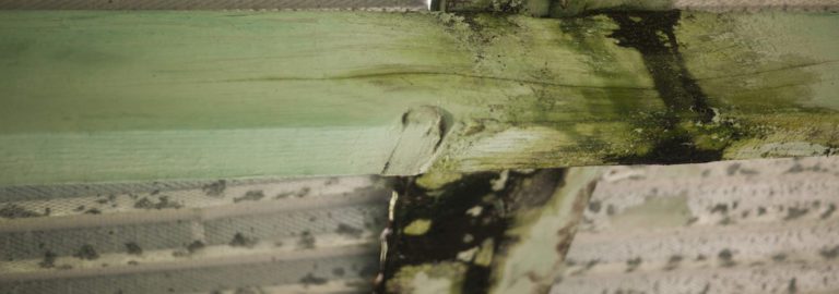 Deck Safety: 5 Warning Signs of an Unsafe Deck - Building Strong