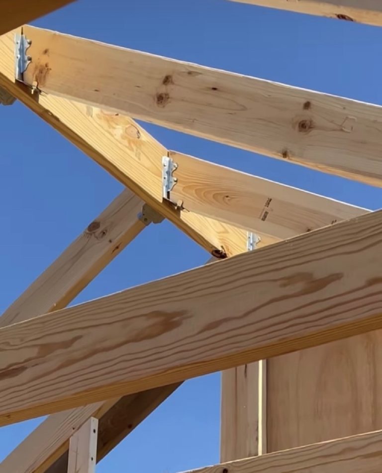 Building a Dream DIY Chicken-Coop and Shed with Fletcher Creek Cottage ...